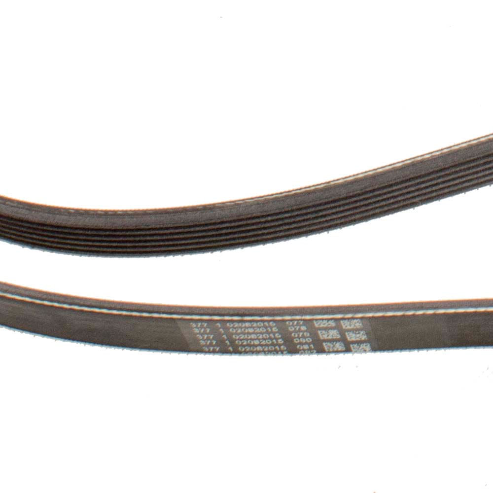 Correia Poly-V Alternador Mercedes E240 E320 ML320 6PK2315 - 5455 ...